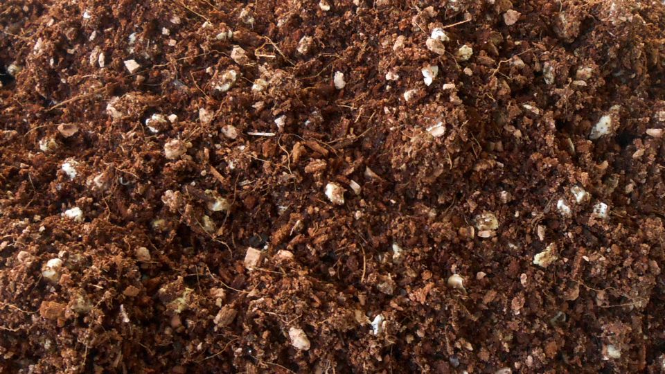 Bio Ground Sofisport