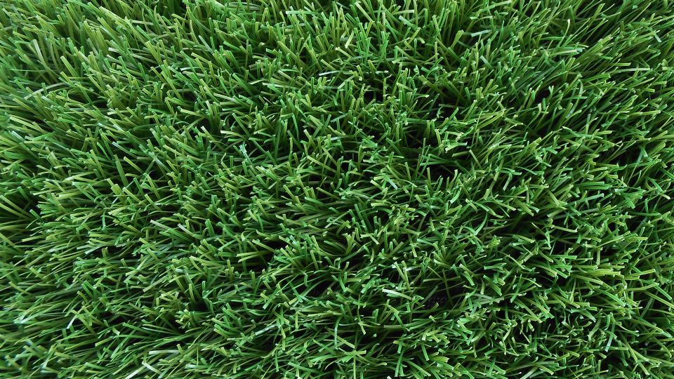 BIO Surface Sofisport